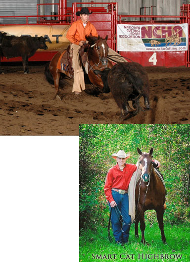 Showtime Arena - Come To Where It Happens All Year Long