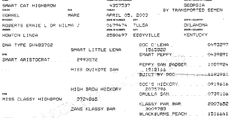 Showtime Arena - Come To Where It Happens All Year Long